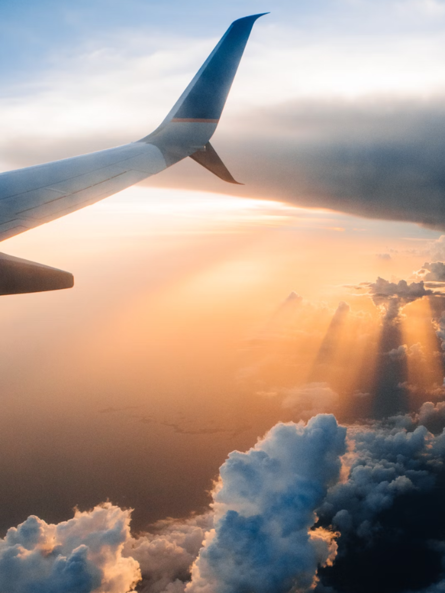 Women in Luggage Bin To Passenger Purrs: Bizarre Flight Experiences | Times Now