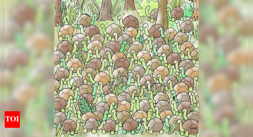 Optical Illusion: Can you find a hidden snake in this picture? - Times ...