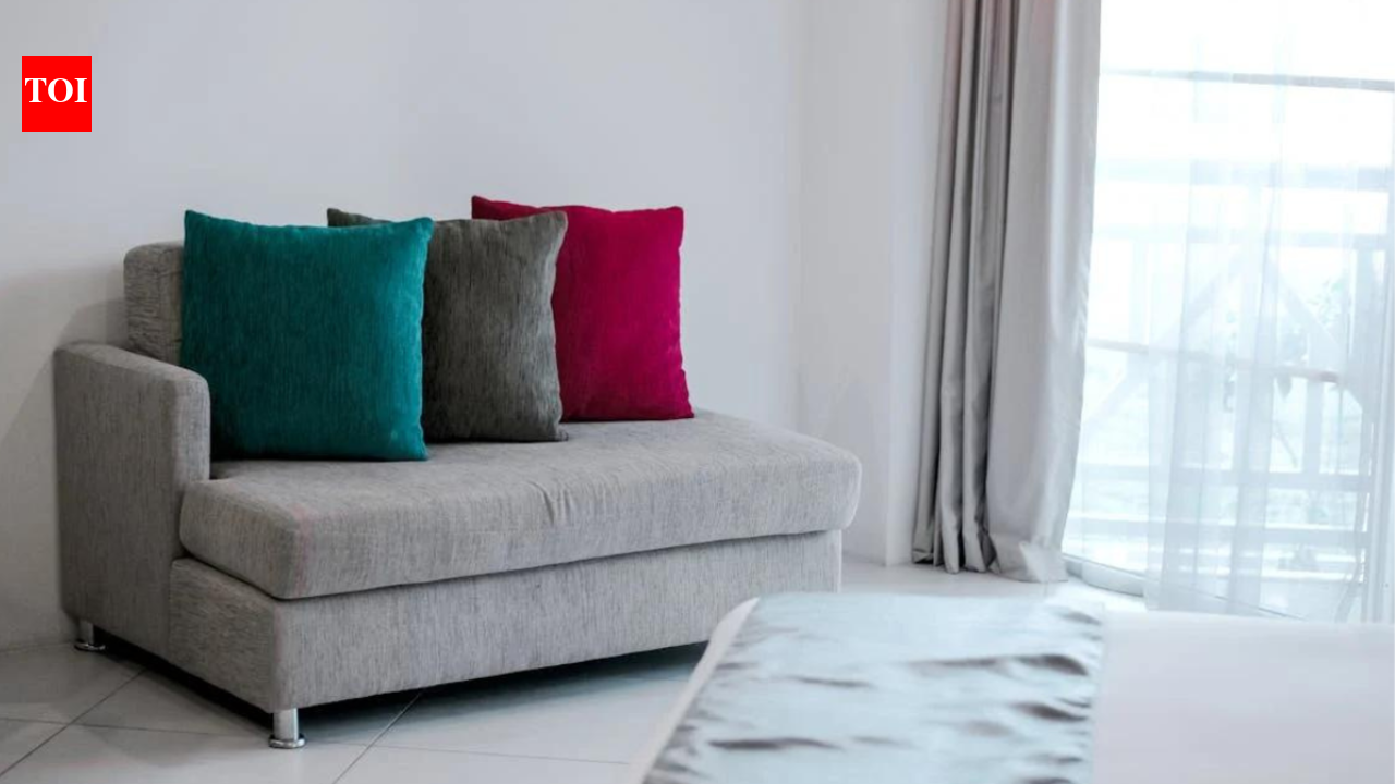 Sofa Cum Beds Under 10000: Affordable & Space-Saving Options For You ...