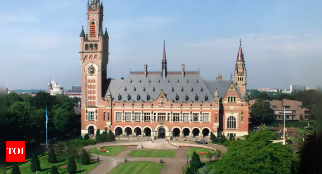 Hamas hails ICJ order for Israel to halt Rafah assault - Times of India