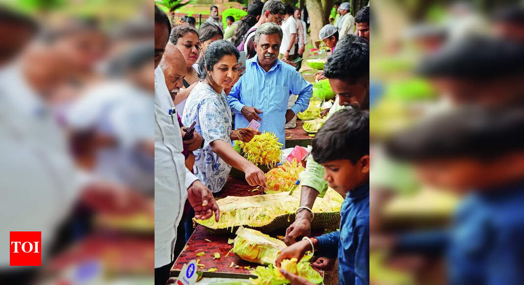 Mango: Relish GI-tagged Kari Ishad mango at 15-day Lalbagh mela ...