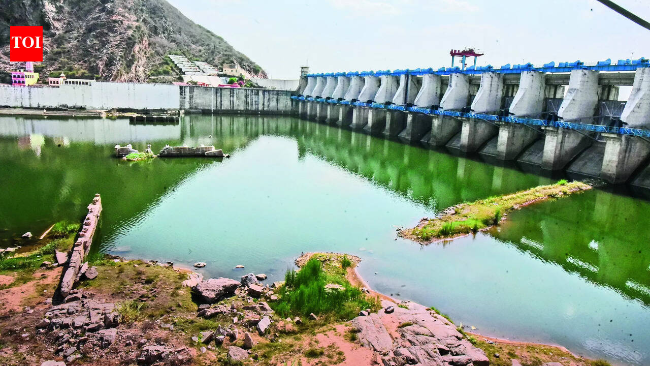 Supreme Court stays NGT order on desilting of Bisalpur dam | Jaipur ...