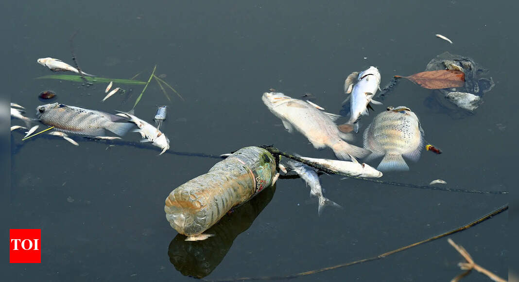 Periyar River Pollution: Eloor municipality files plaint | Kochi News ...