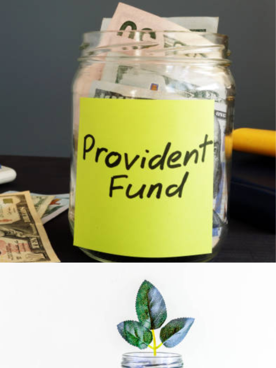 Easy Step-By-Step Guide For PPF Account Withdrawal | Times Now