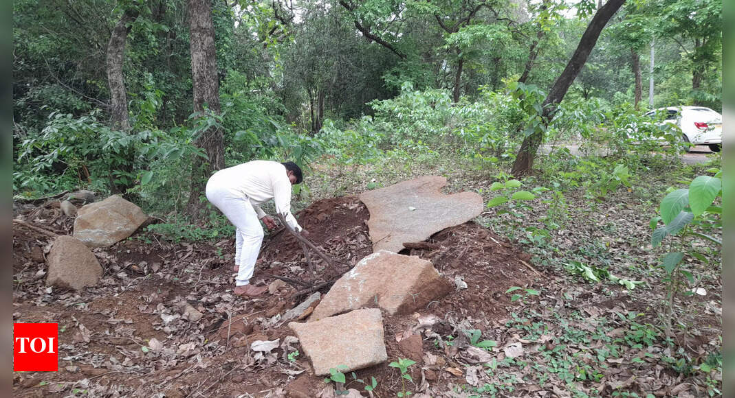Ancient tomb found dying of disregard | Goa News - Times of India