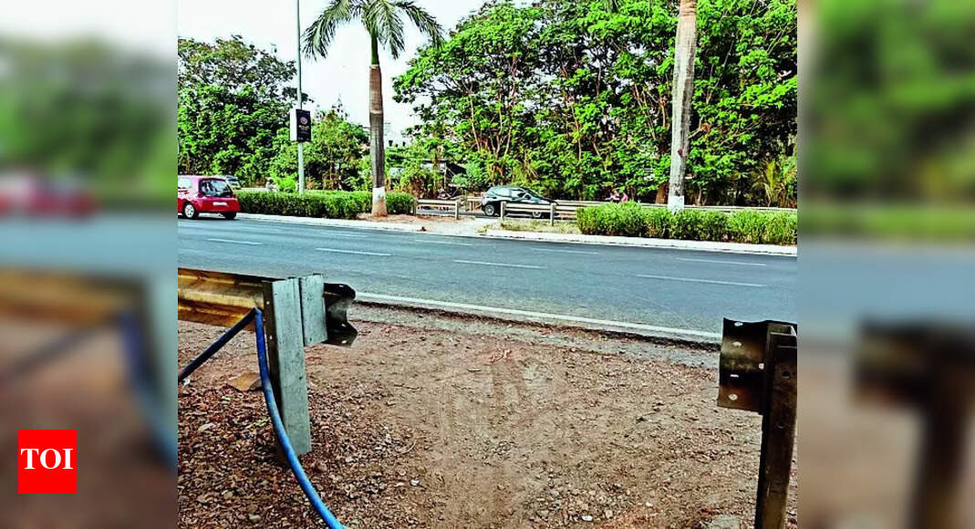Palm Beach Road Locals Concerned Over Removal Of Palm Beach Road