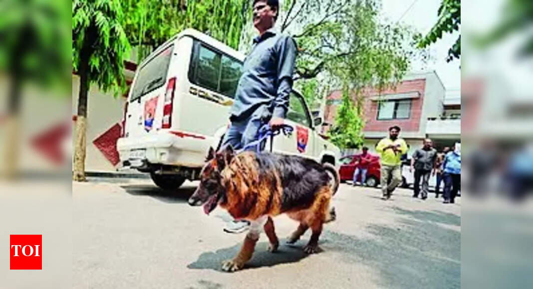 IAS Officer Dubey: Autopsy reveals ex-IAS officer Dubey’s wife was ...