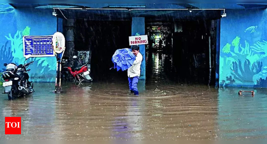 Rain: Kerala gets a breather, yellow alert in 4 districts | Kochi News ...