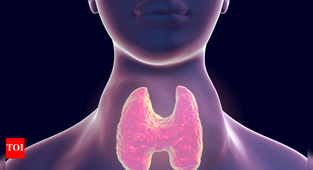 Understanding thyroid conditions: Structure, function, and care - Times ...