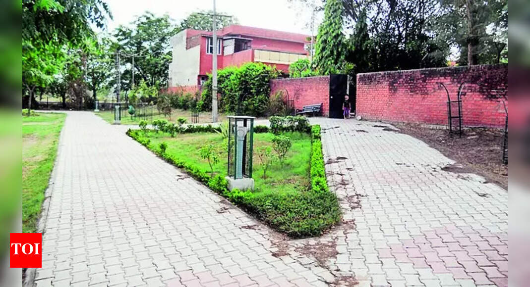 Green Spaces: NGT panel cautions against use of extensive concrete in ...