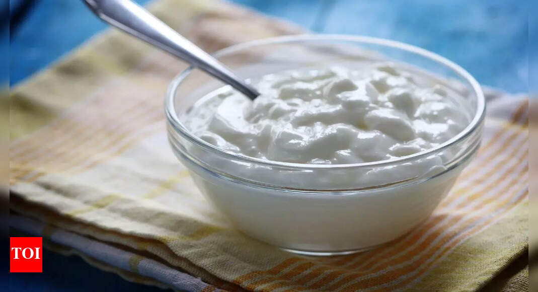 How to prevent souring of curd in summer and tips to store it right ...