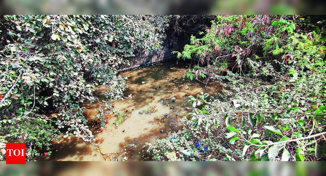 Well: 450-year-old well in Latur needs upkeep | Kolhapur News - Times ...