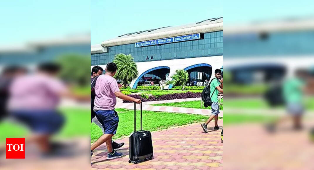 IndiGo Goa-Surat Flight Bird Hit Incident | Surat News - Times of India