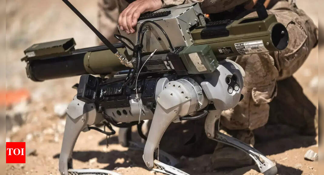 China's military unveils its latest new weapon: Rifle-toting robot dogs ...