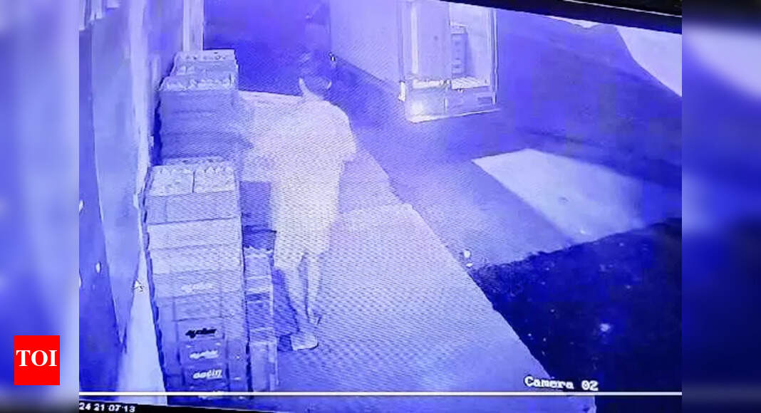 Milk Thefts: Surge in milk thefts: Vans on the prowl to steal milk in ...