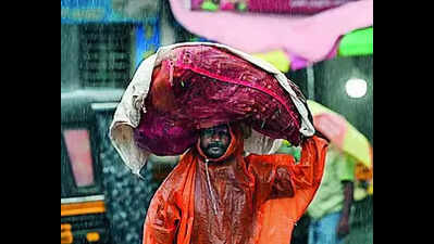 Cusat ST radar centre records mini cloudburst | Kochi News - The Times ...