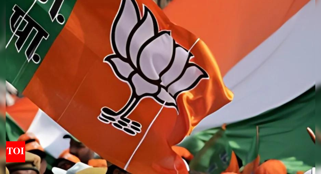 Lok Sabha elections 2024: Full list of BJP candidates and where they ...
