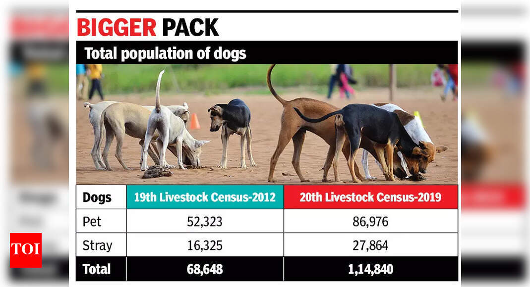 Funds fail to attract local bodies to control stray dog population ...