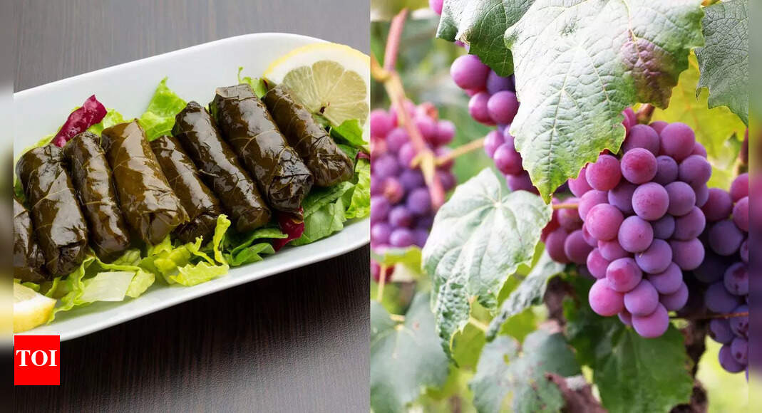 Are grape leaves actually healthy? - Times of India