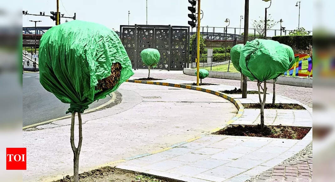 Heatwave: Withering Heights: Heat Burning Trees, Amc Looks For ...
