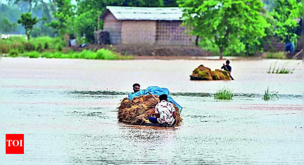 Cyclone Remal: Remal fizzles out, but NE gets heavy rainfall due to ...