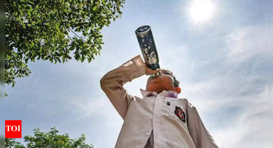 Heatwave alert: These Indian cities surpass 50 degrees Celsius in 2024 ...