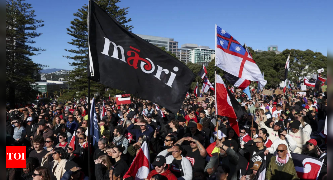 New Zealanders protest 'anti-Maori' government policies - Times of India