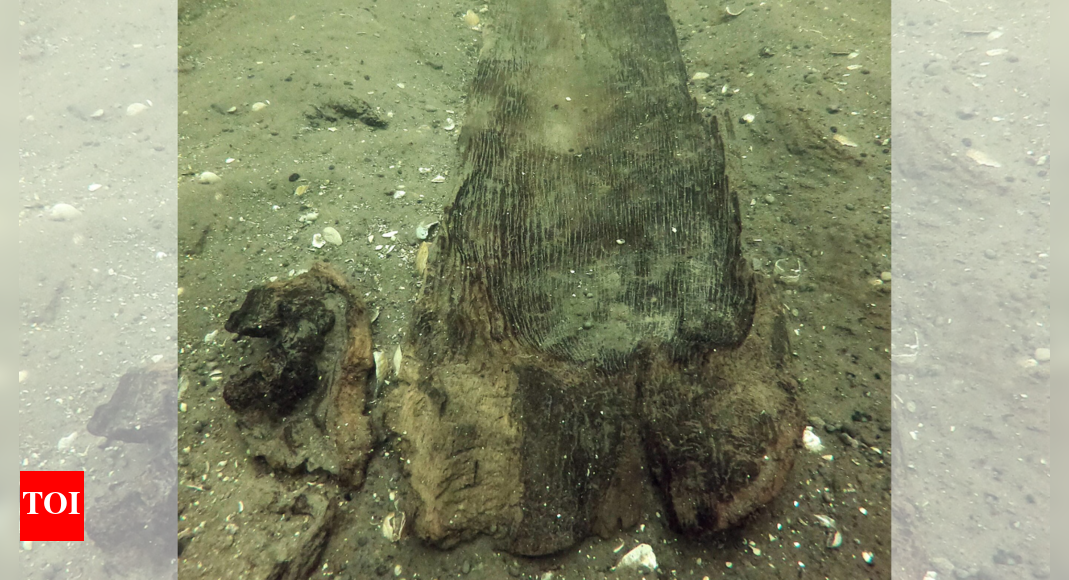 Stunning archaeological find: Prehistoric discovery in US lake leaves ...