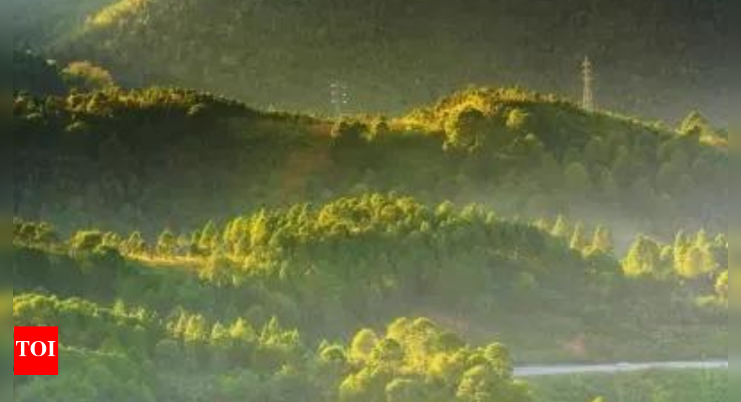 Recording forest resources through Van app starts in Andhra Pradesh ...