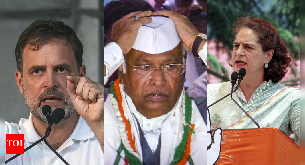 Congress leaders Kharge, Rahul, Priyanka conduct over 100 rallies ...