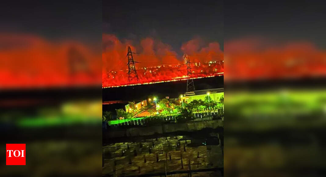 Perumbakkam Marsh Fire: Perumbakkam marsh fire chokes neighborhoods ...