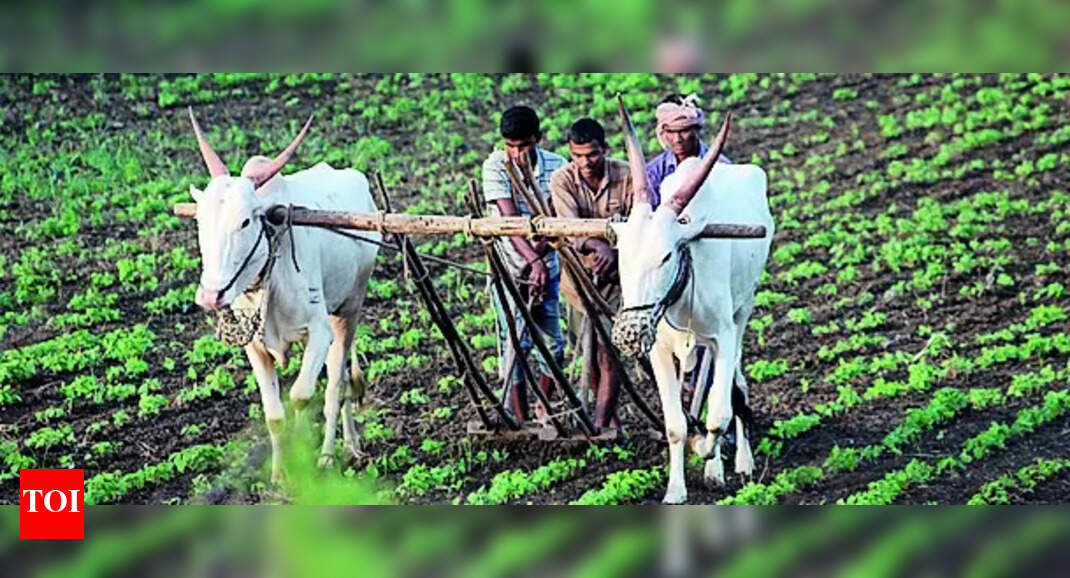 Seeds: Agriculture dept ready to distribute seeds, fertilisers ...
