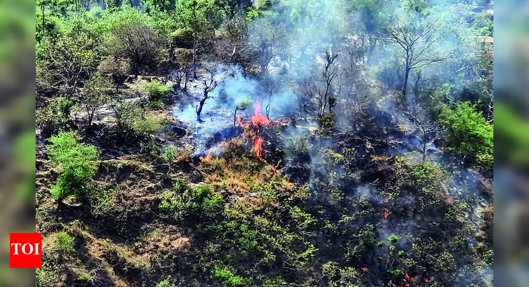 Forest Fire: Forest Fire Causes Mines to Explode Along LoC | Jammu News ...