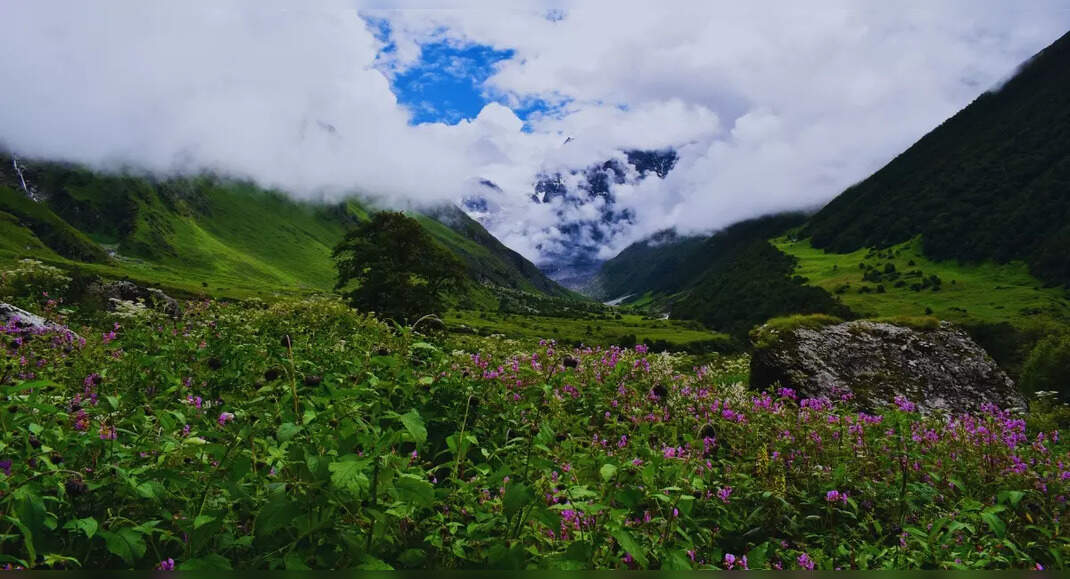 Uttarakhand Valley of Flowers: How to reach and best time to visit to ...