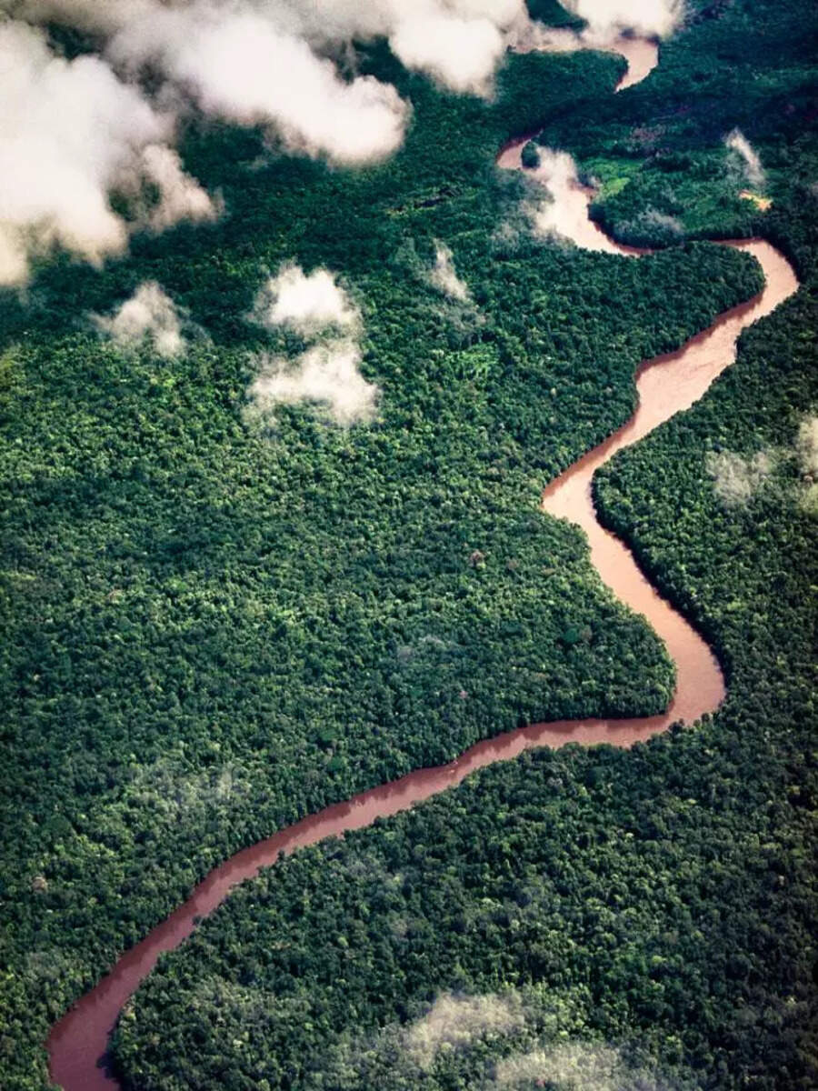 10 longest rivers in the world | Times of India