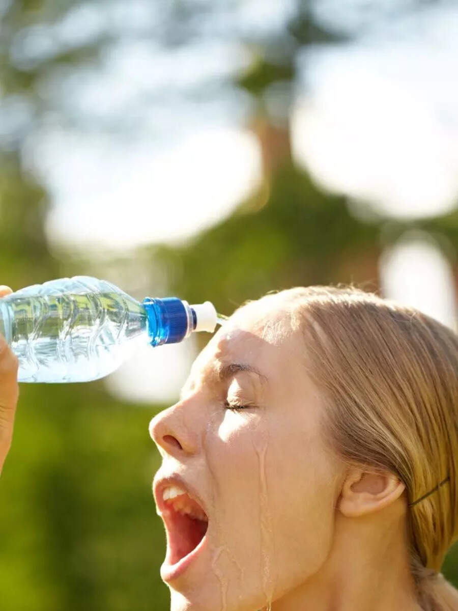 8 Herbs That Help To Keep You Cool During Summers | Times Now