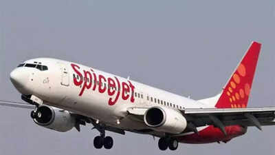 SpiceJet cabin crew takes flight with sign language initiative - Times ...