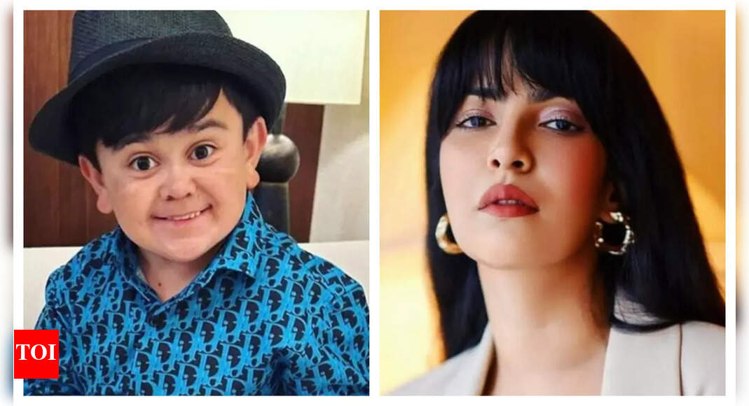 Exclusive - Bigg Boss 16 fame Abdu Rozik opens up about his wedding ...