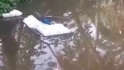 Lok Sabha elections: Mob throws EVM into pond in West Bengal | Kolkata News - Times of India