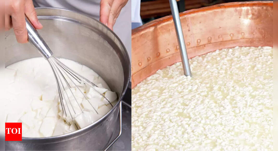 6 sweet treats that can be made with curdled milk - Times of India