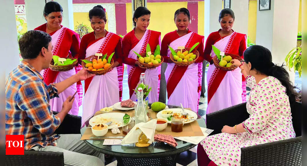 Heard of haramzada? Aam-azing efforts to bring rare mangoes back ...