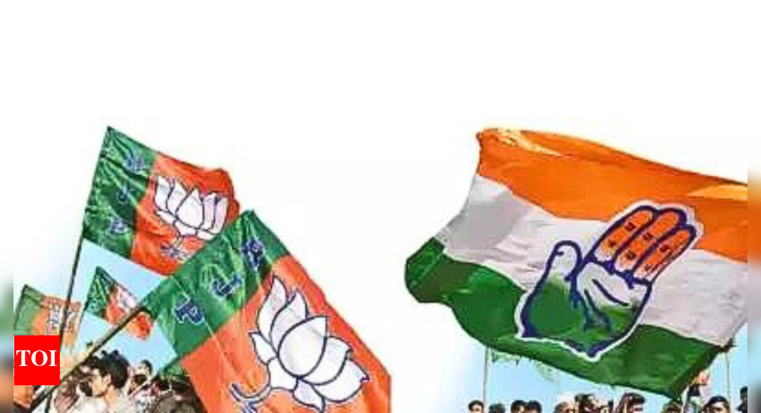 Dambuk Assembly Election Result 2024: Puinnyo Apum of BJP wins ...