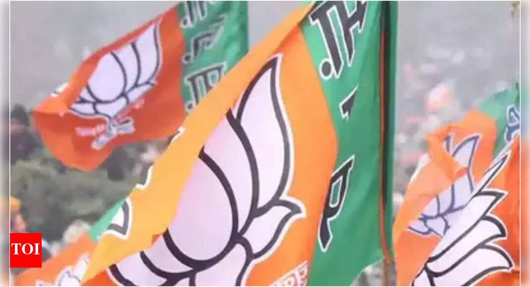 Rumgong Assembly Election Result 2024: BJP's Talem Taboh wins ...