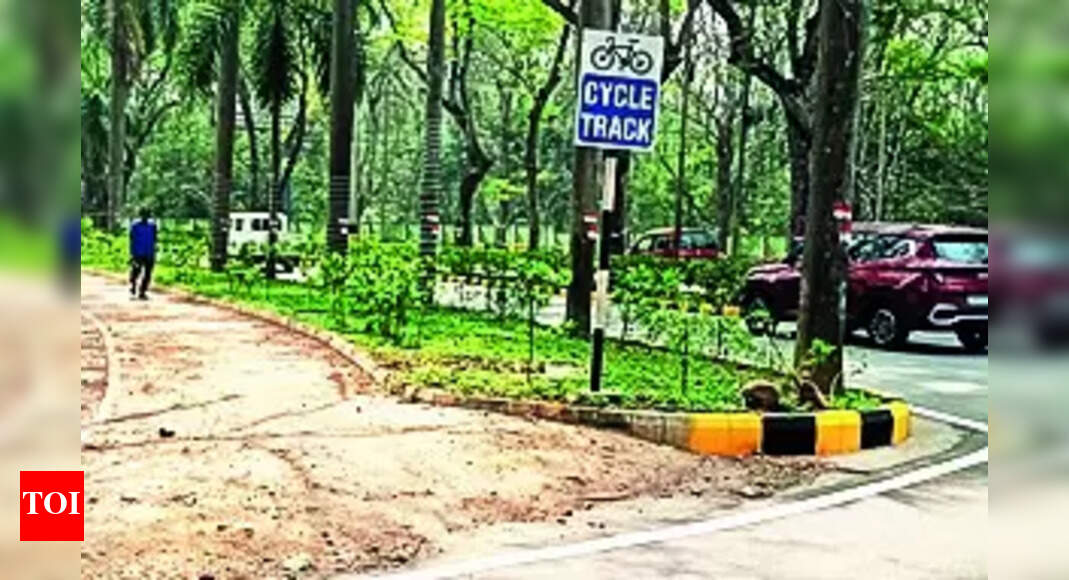 Cycle Tracks: Few takers for cycle tracks in Jamshedpur | Ranchi News ...