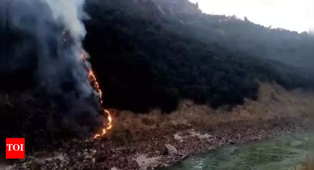 Pakistan finds it hard to control forest fires as heatwave sweeps ...