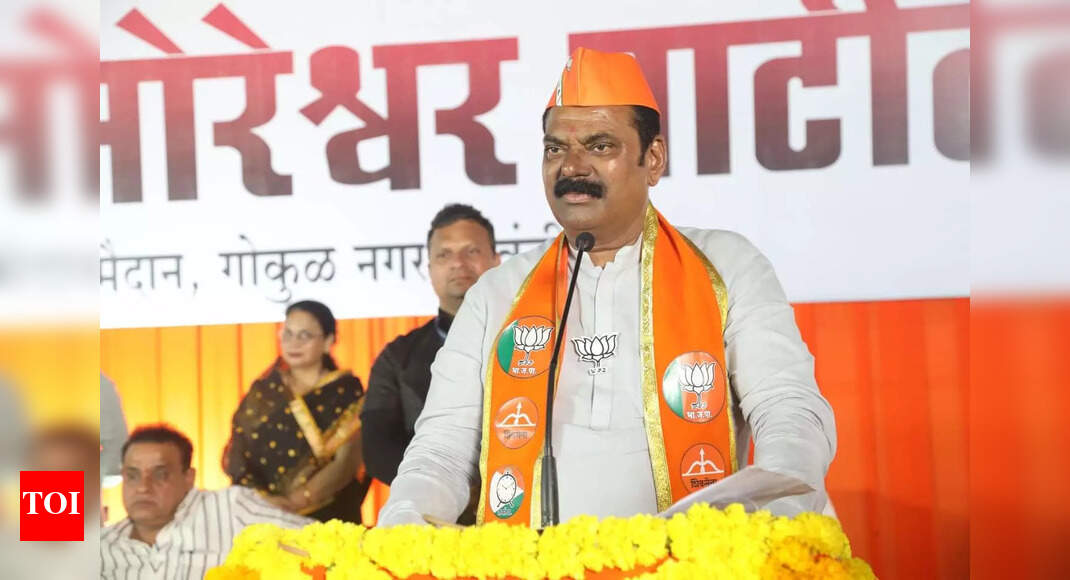 Former BJP's minister demands own party MLA's expelled from party for ...