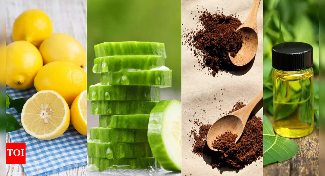 Natural Ways to Eliminate Insects from Your Kitchen | - The Times of India