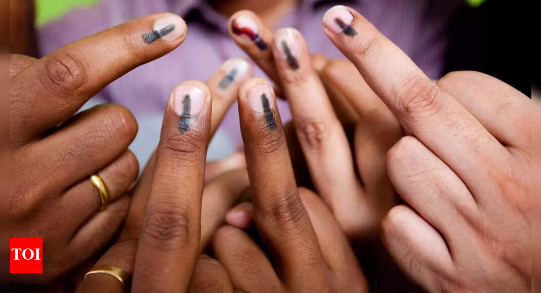 Why it is impossible to erase voter’s ink and who makes it in India ...
