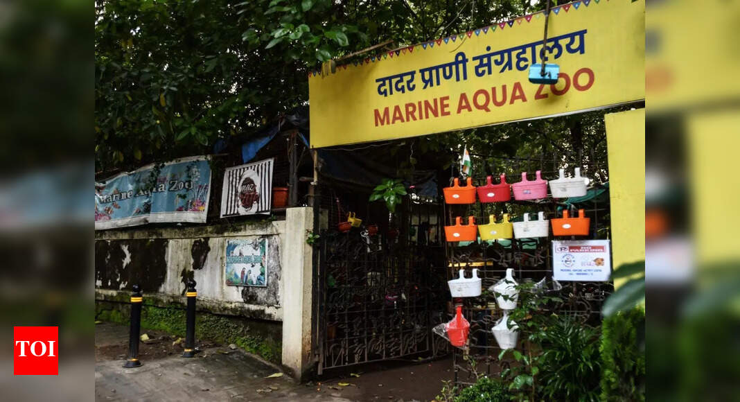 Forest Officials: Forest officials arrest owner of private Dadar zoo ...