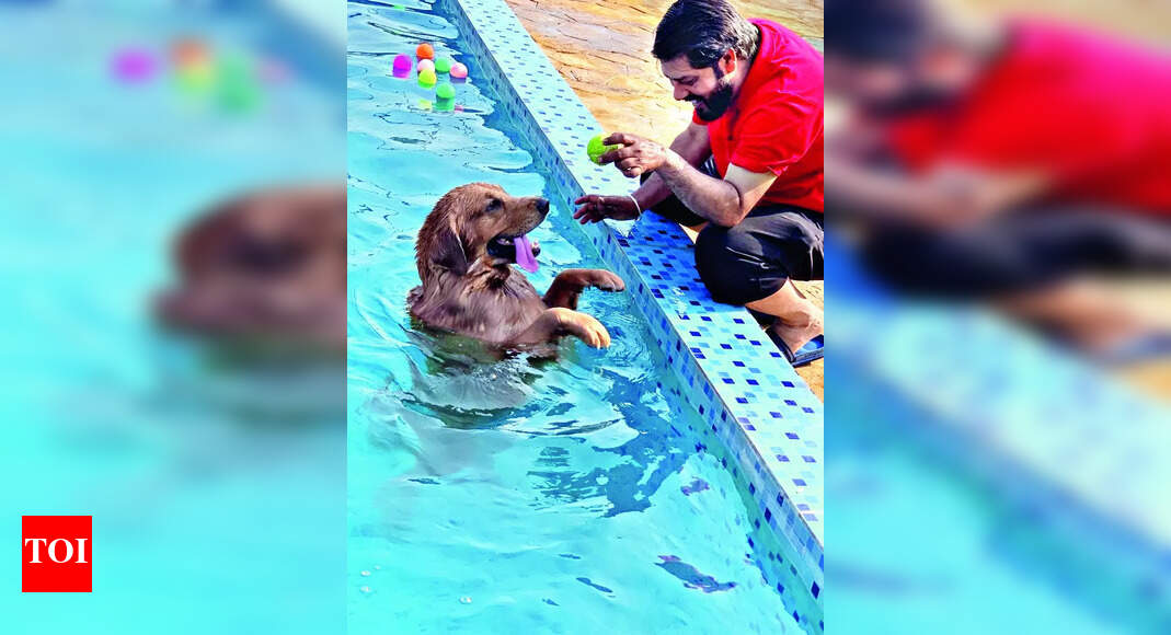 Swimming Classes: Swimming Classes in High Demand During Summer Break ...